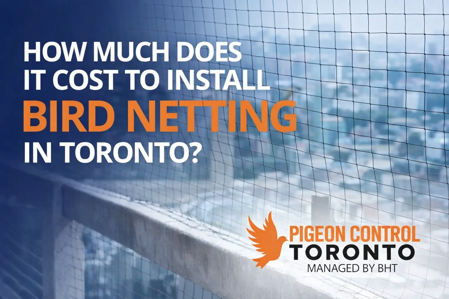 Bird Netting Installation Cost in Toronto | Pigeon Control