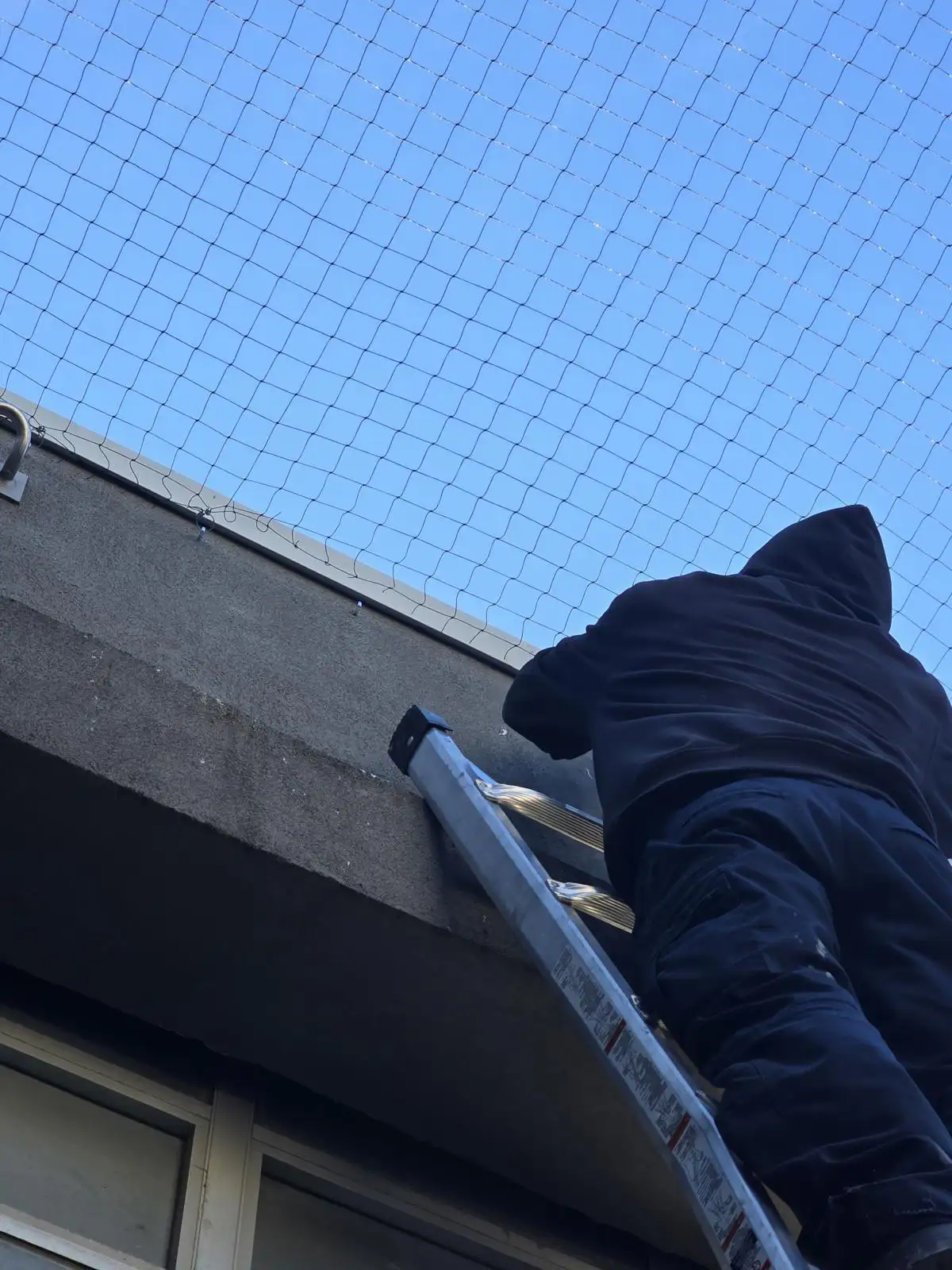 Pigeon Netting Toronto - (416) 560 4827